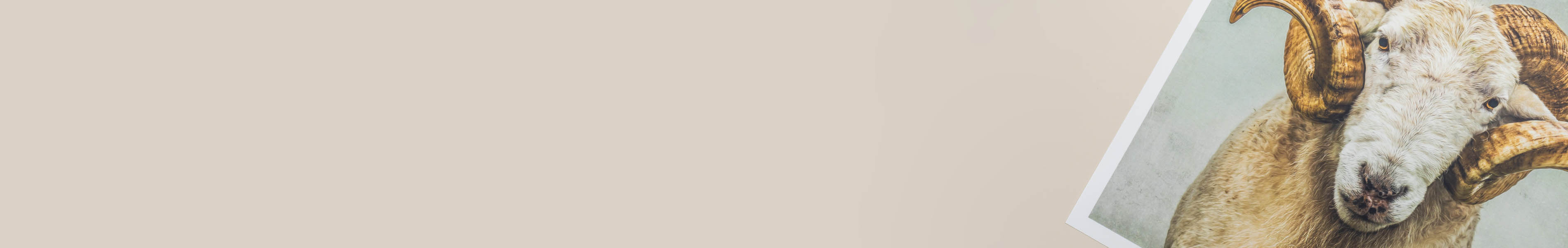 Large Format Photo Printing | Professional High Quality | SIMLAB